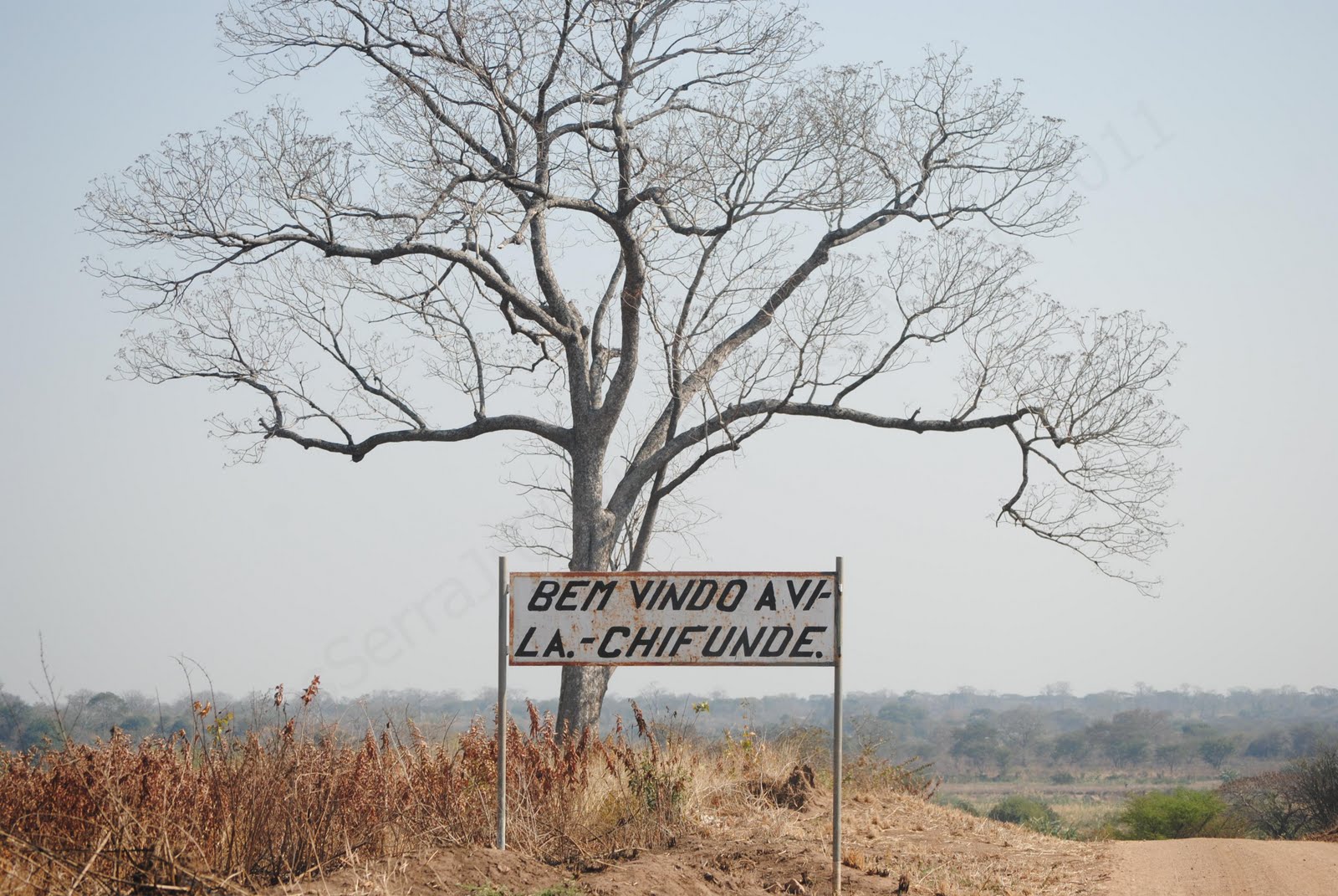 Justiça persegue supostos cabecilhas dos crimes ambientais e mineração ...