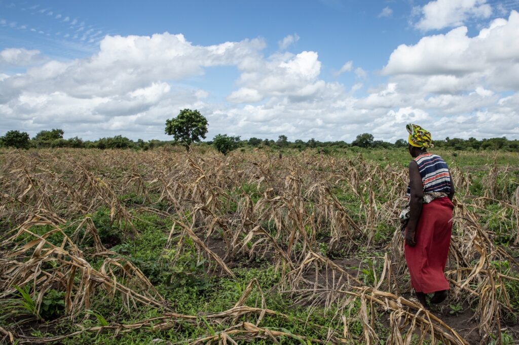 Implementado pelo INGD com apoio do PMA: Informação sobre aviso prévio ...